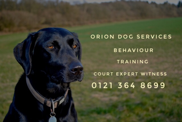 Contact us - Orion Dog Services